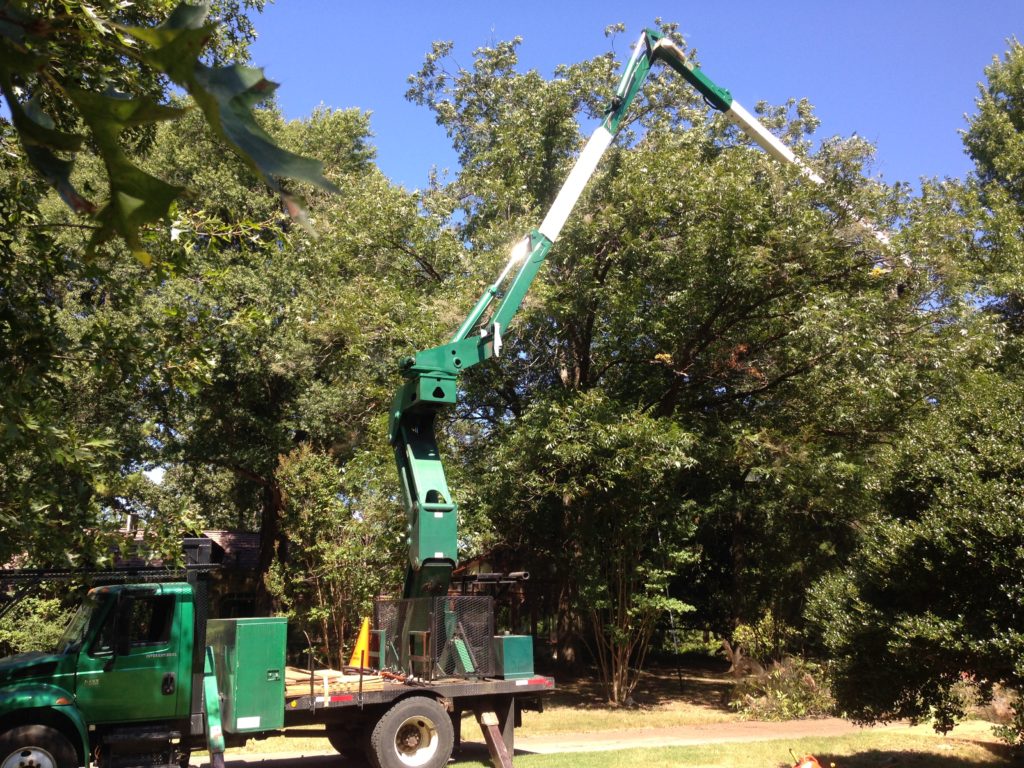 Trucks - Tree Climbers Tree Services