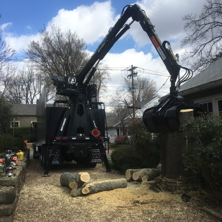 Grapple Truck - Tree Climbers Tree Services